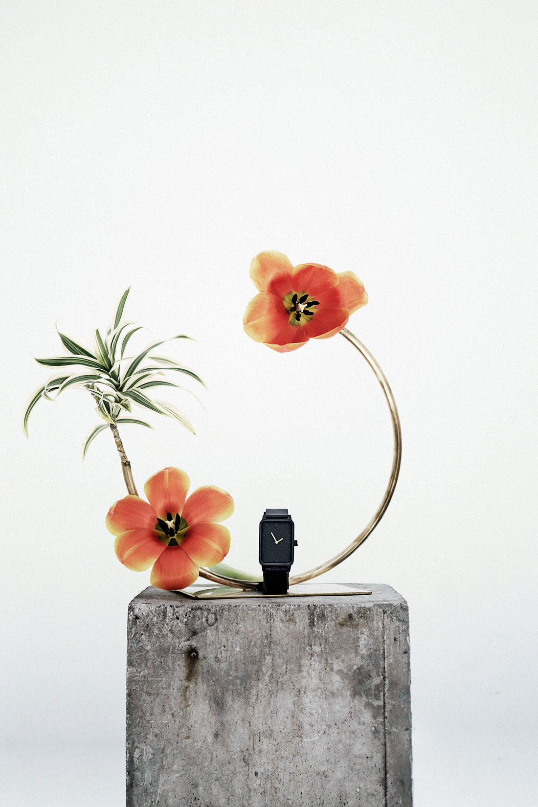 Simple Watch Co. | Design Driven | Timeless Quality